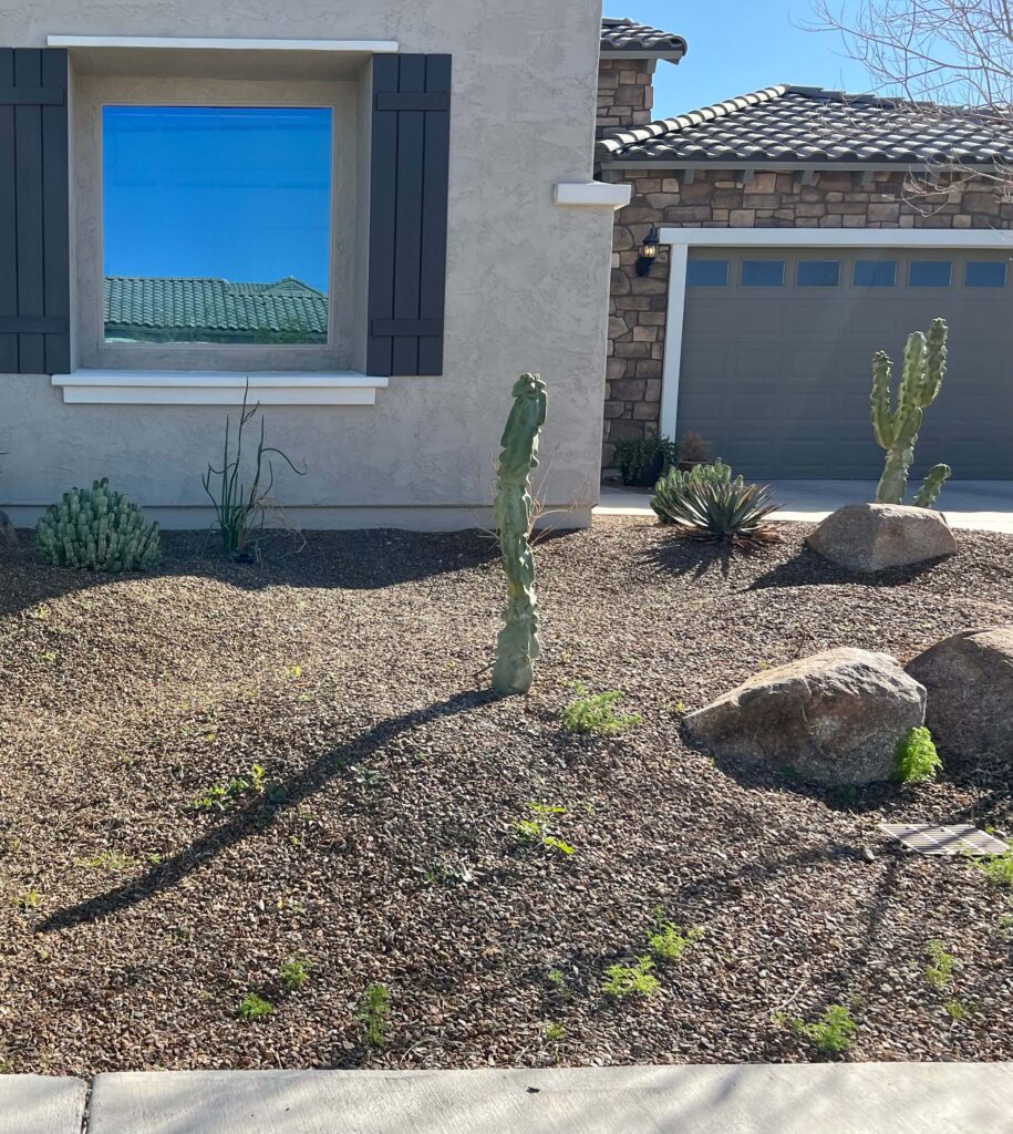 WEEDS - Evergreen Pest Control