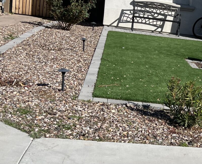 Home - Evergreen Pest Control